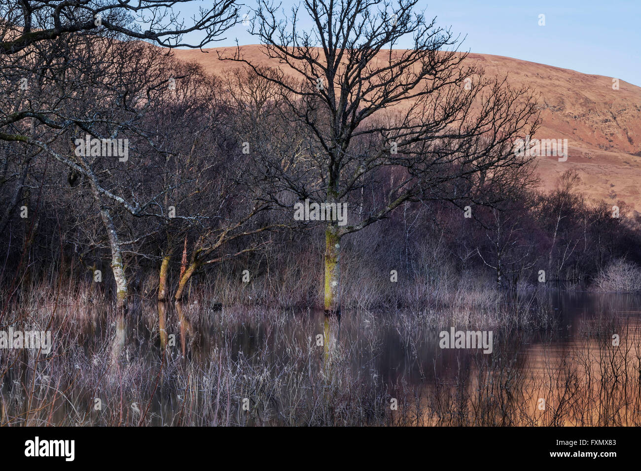 Shadows and Light Stock Photo - Alamy