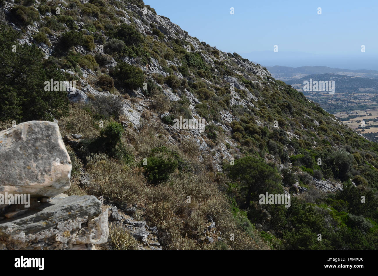 Photography of nature in the open space Stock Photo - Alamy