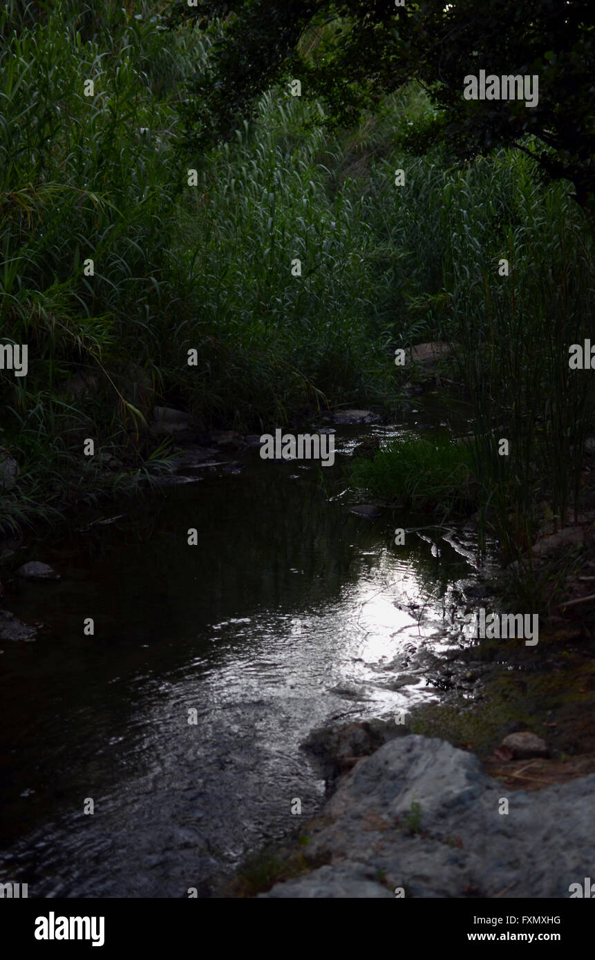 Photography of nature in the open space Stock Photo - Alamy