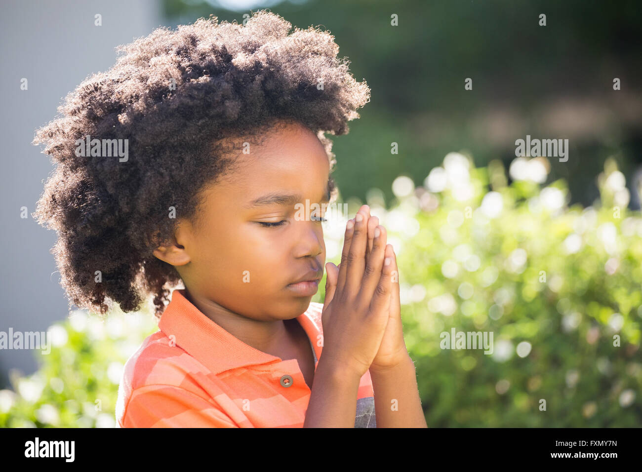 Prying hi-res stock photography and images - Alamy