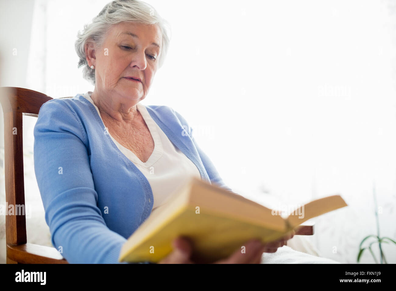 Retired woman reading book hi-res stock photography and images - Alamy