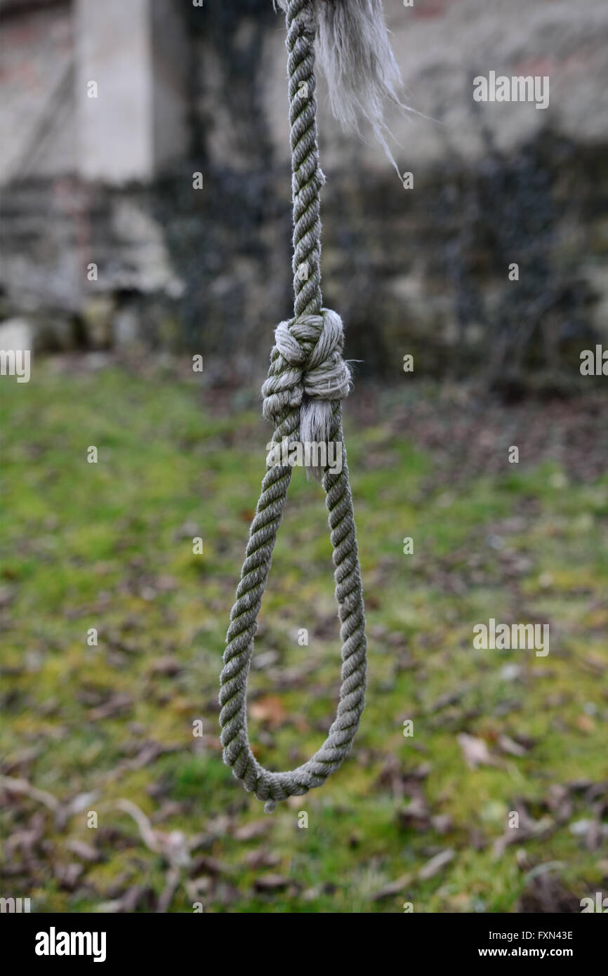 Gallows tree hi-res stock photography and images - Alamy