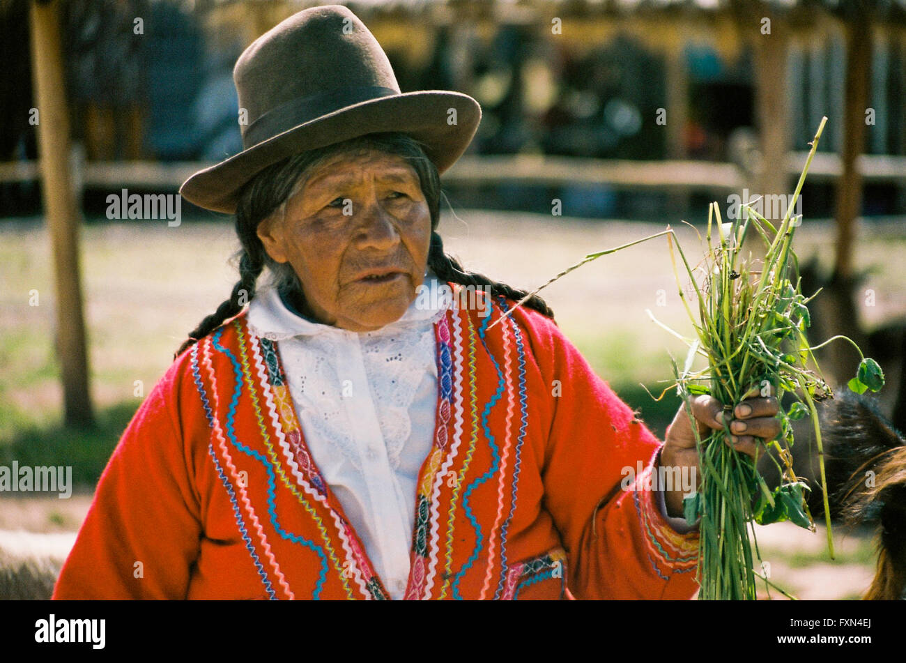 Portrait of a Quechua Indian woman Andes Mountain Cuzco Region, Peru ...