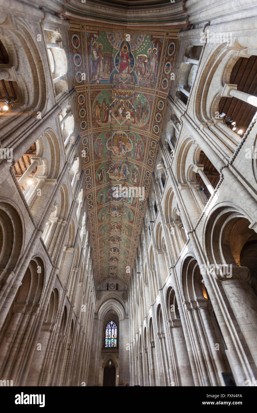 The ceiling of the nave, Ely Cathedral, Cambridgeshire, England, UK ...