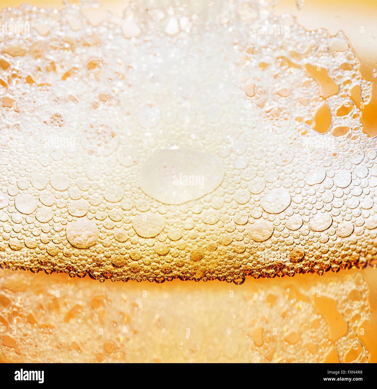 frothy beer, closeup Stock Photo - Alamy