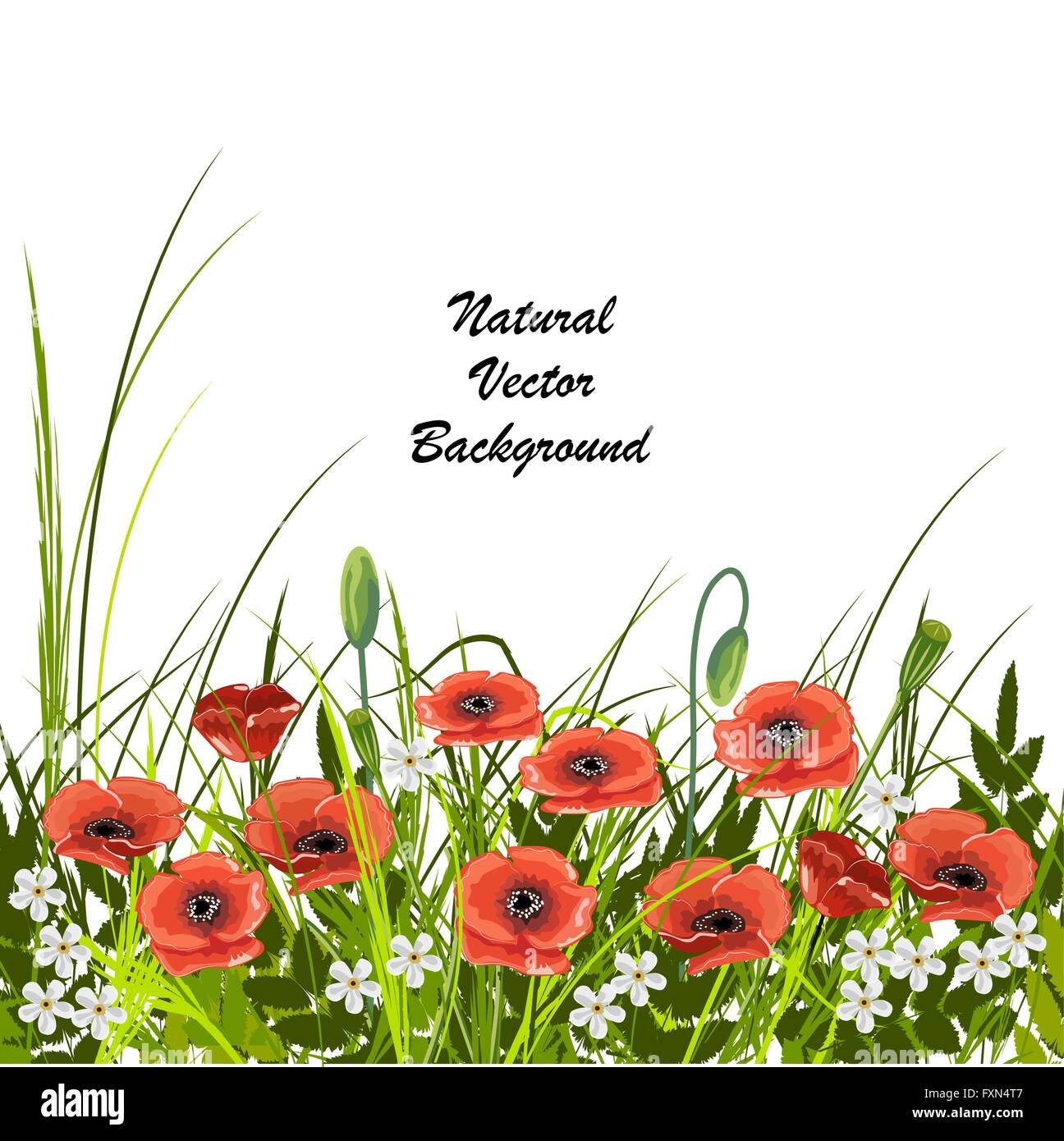 Natural vector background Stock Vector Image & Art - Alamy
