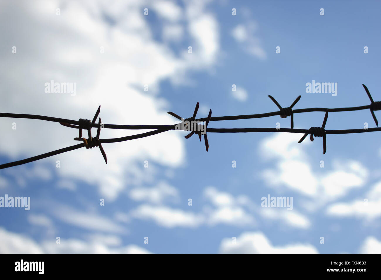 Crossed barbed wire against the sky Stock Photo - Alamy