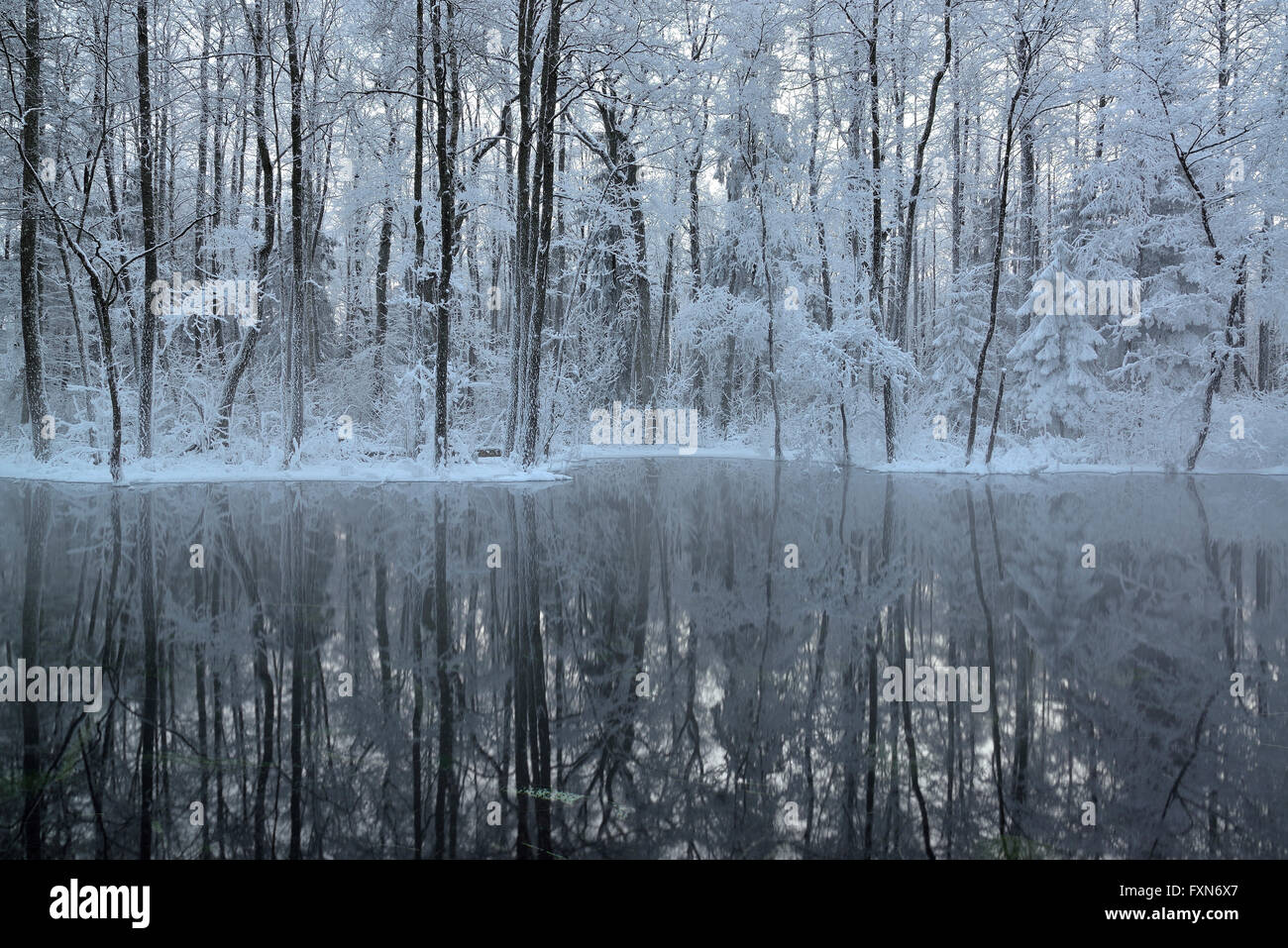 Spring forest river hi-res stock photography and images - Alamy