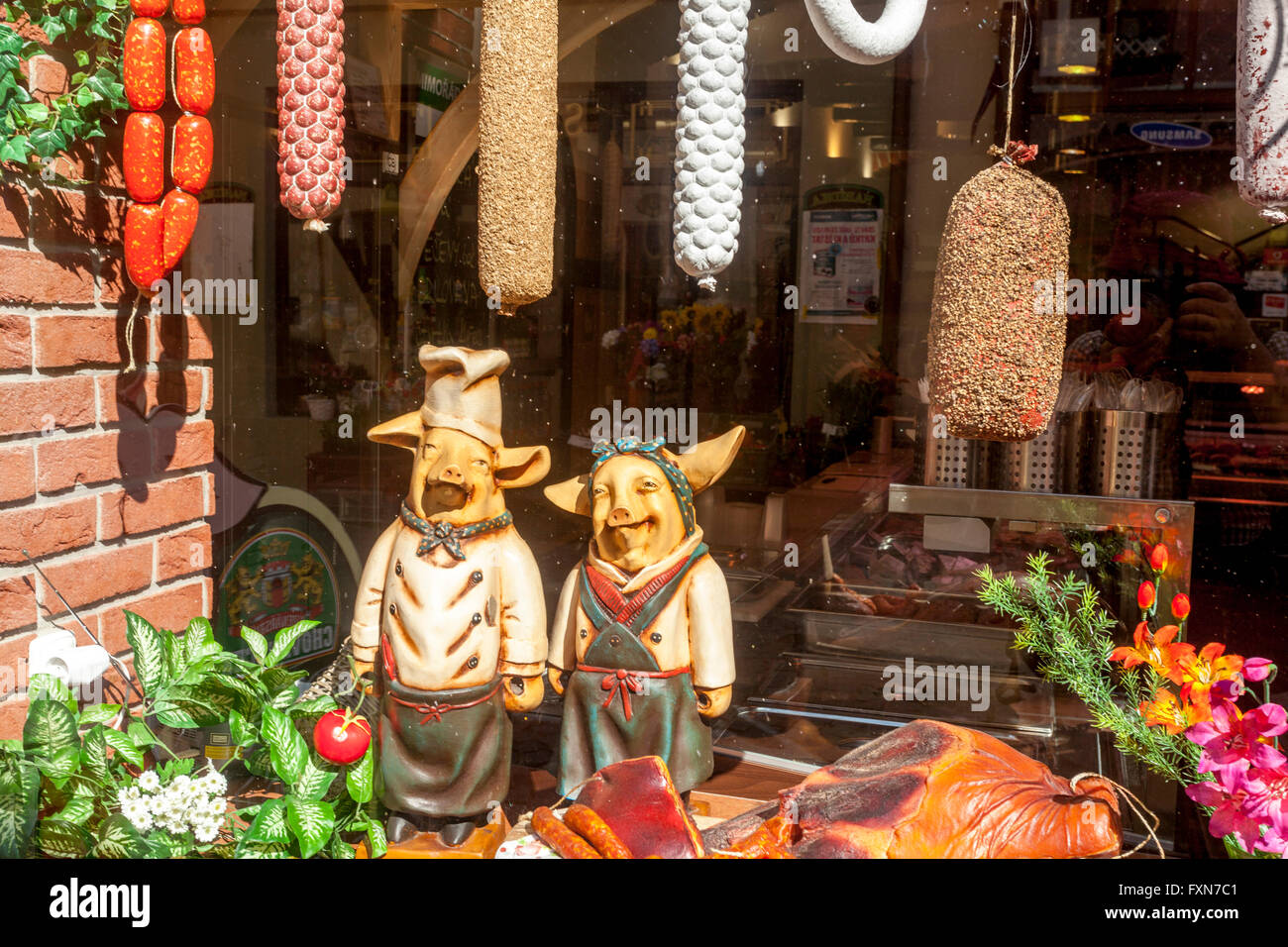A pair of piggies in the window of a butcher shop, Prague, Czech ...