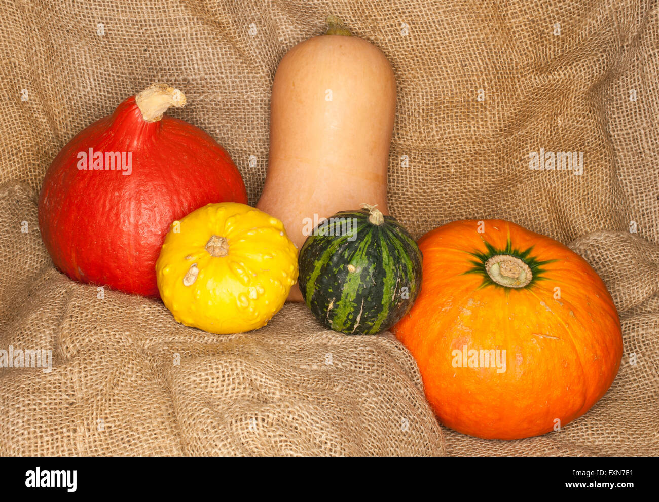 Hokkaido, butternut and warty pumpkins on a jute bag Stock Photo - Alamy