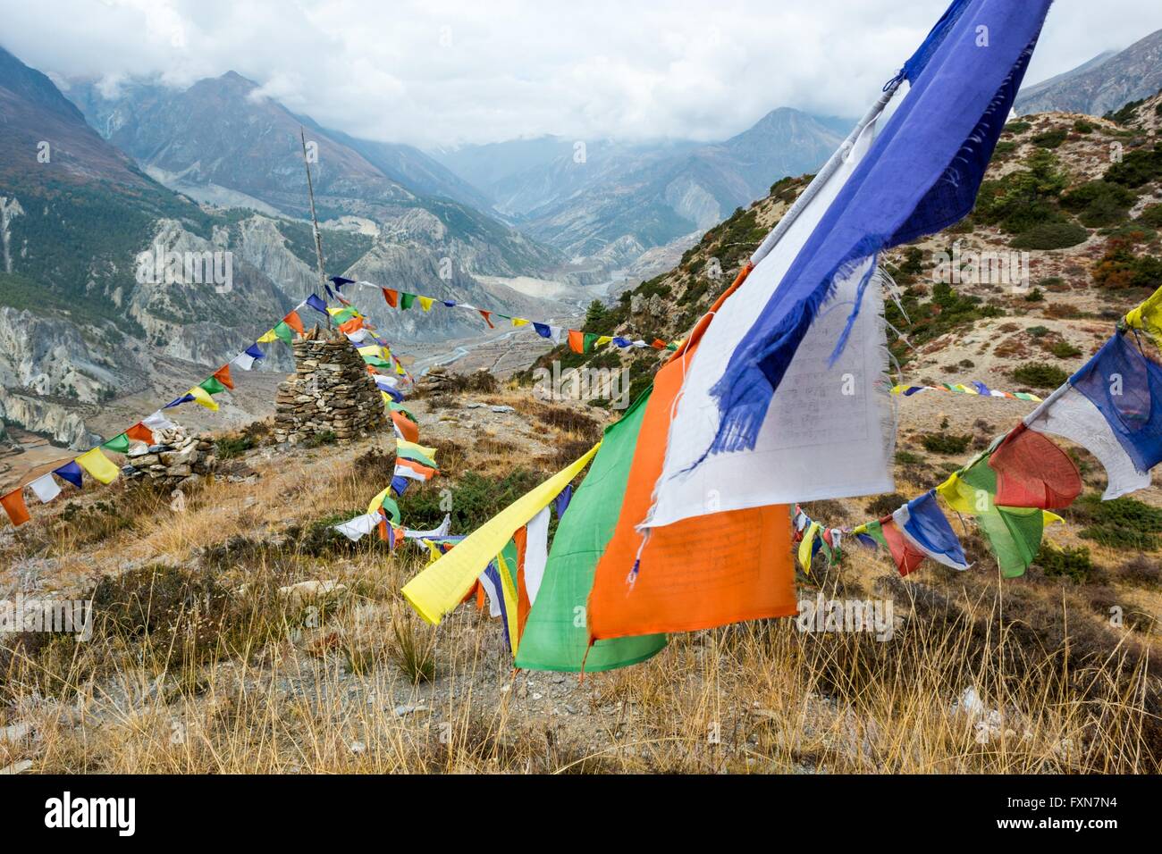 Buddhist praying flags blowing in the wind Stock Photo - Alamy