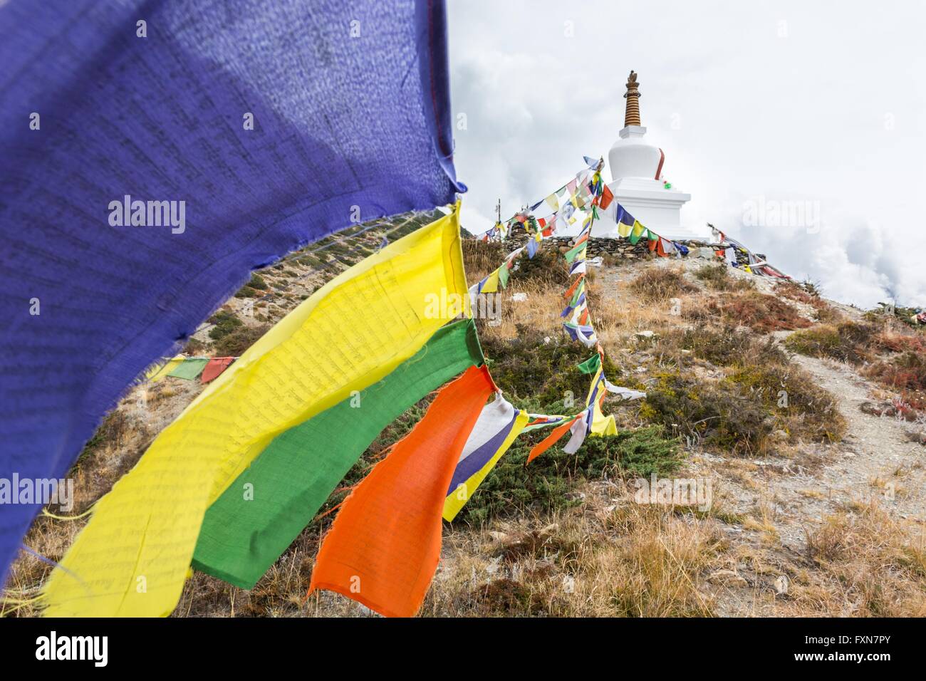Praying flags with stupa in the background Stock Photo - Alamy