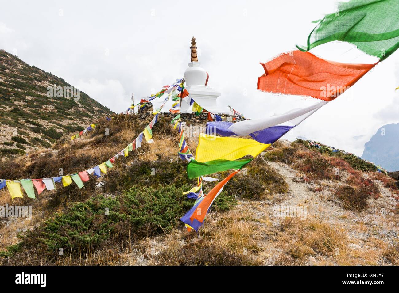 Praying flags with stupa in the background Stock Photo - Alamy
