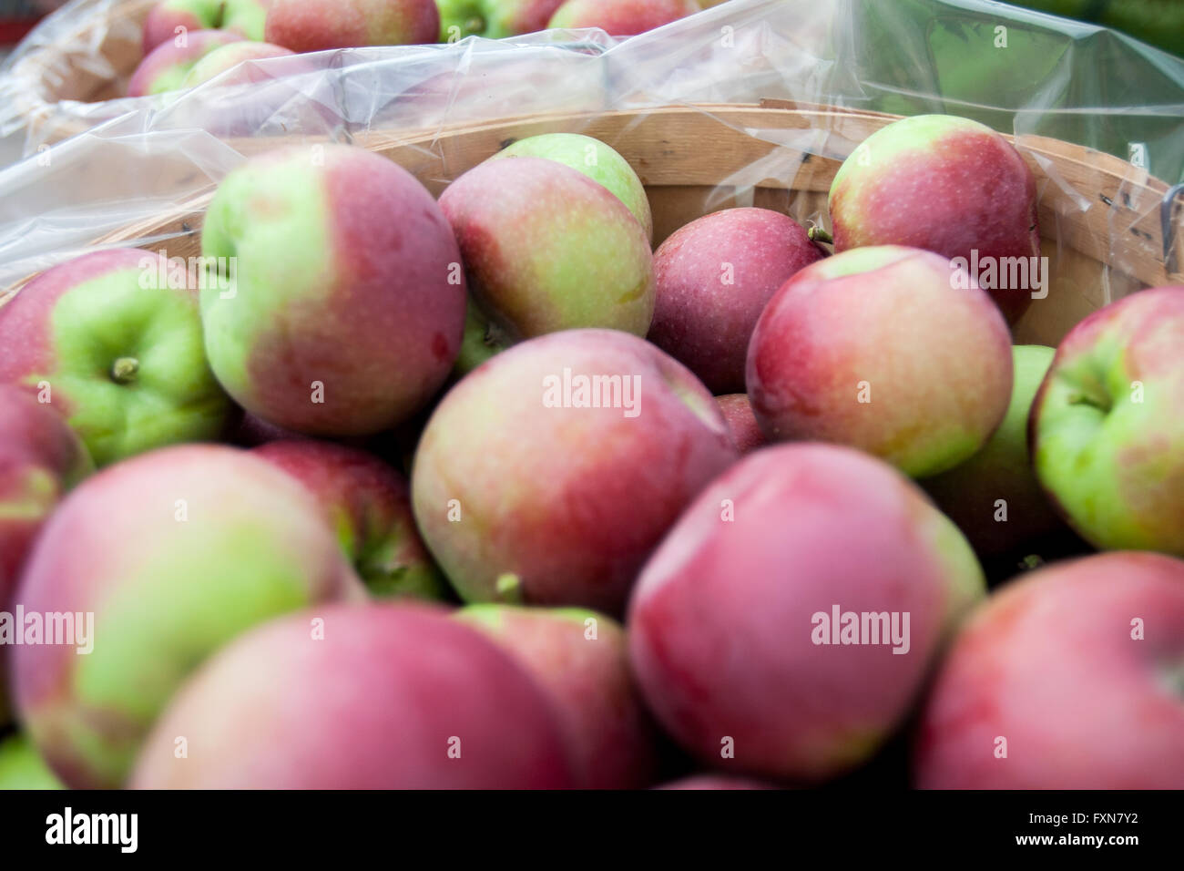 The big apple ontario hi-res stock photography and images - Alamy