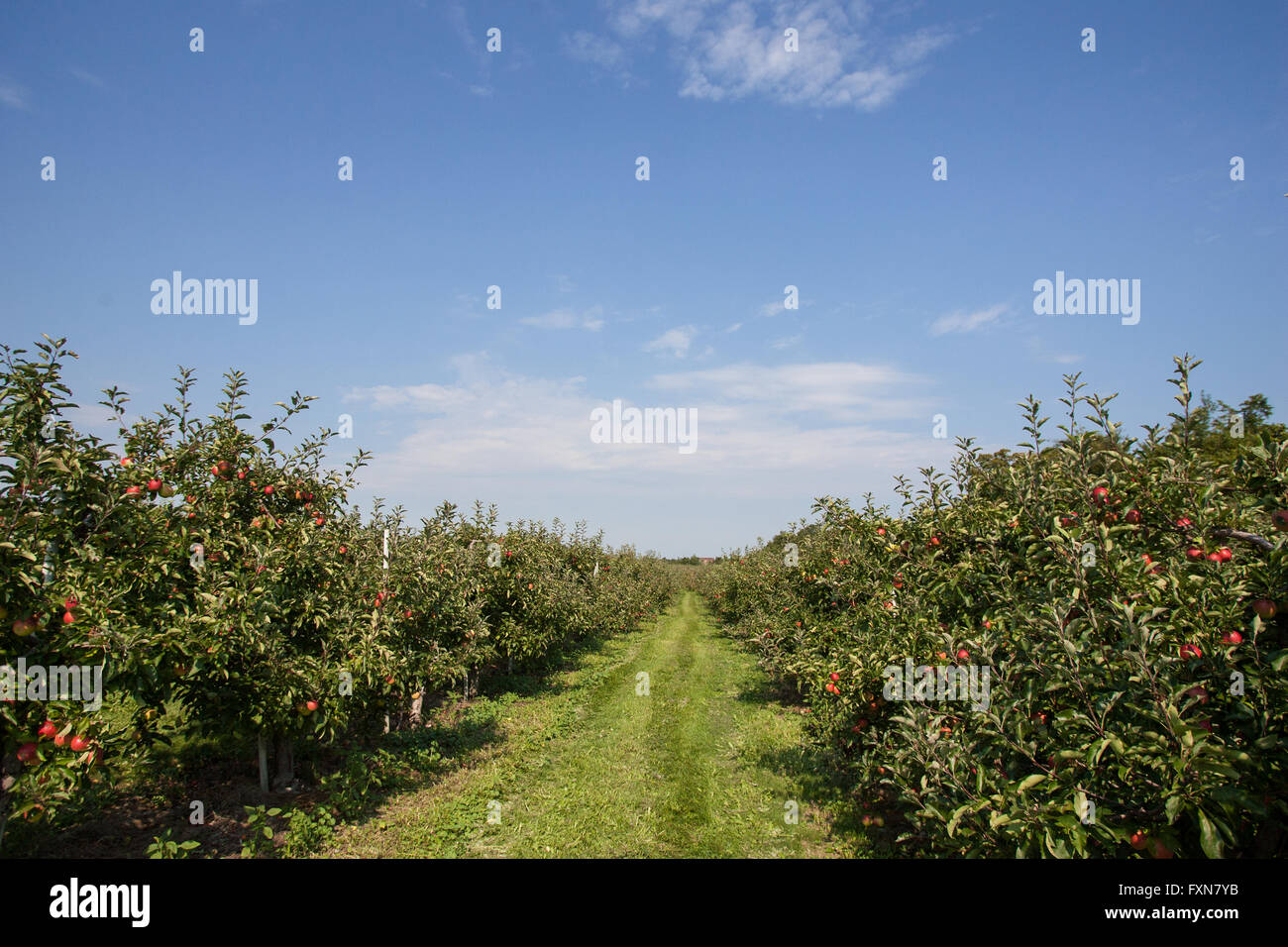 Prince edward county hi-res stock photography and images - Alamy