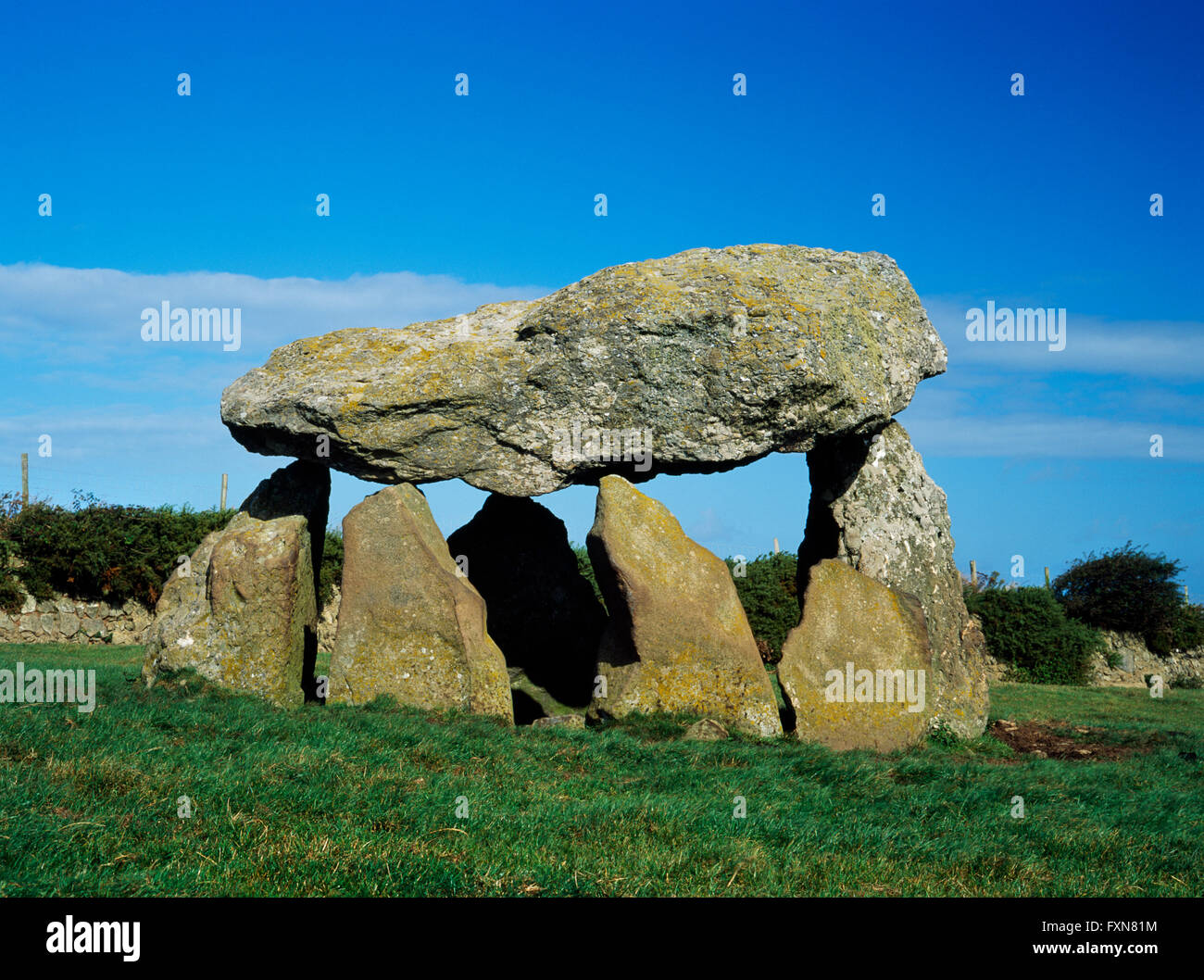 Neolithic longhouse hi-res stock photography and images - Alamy