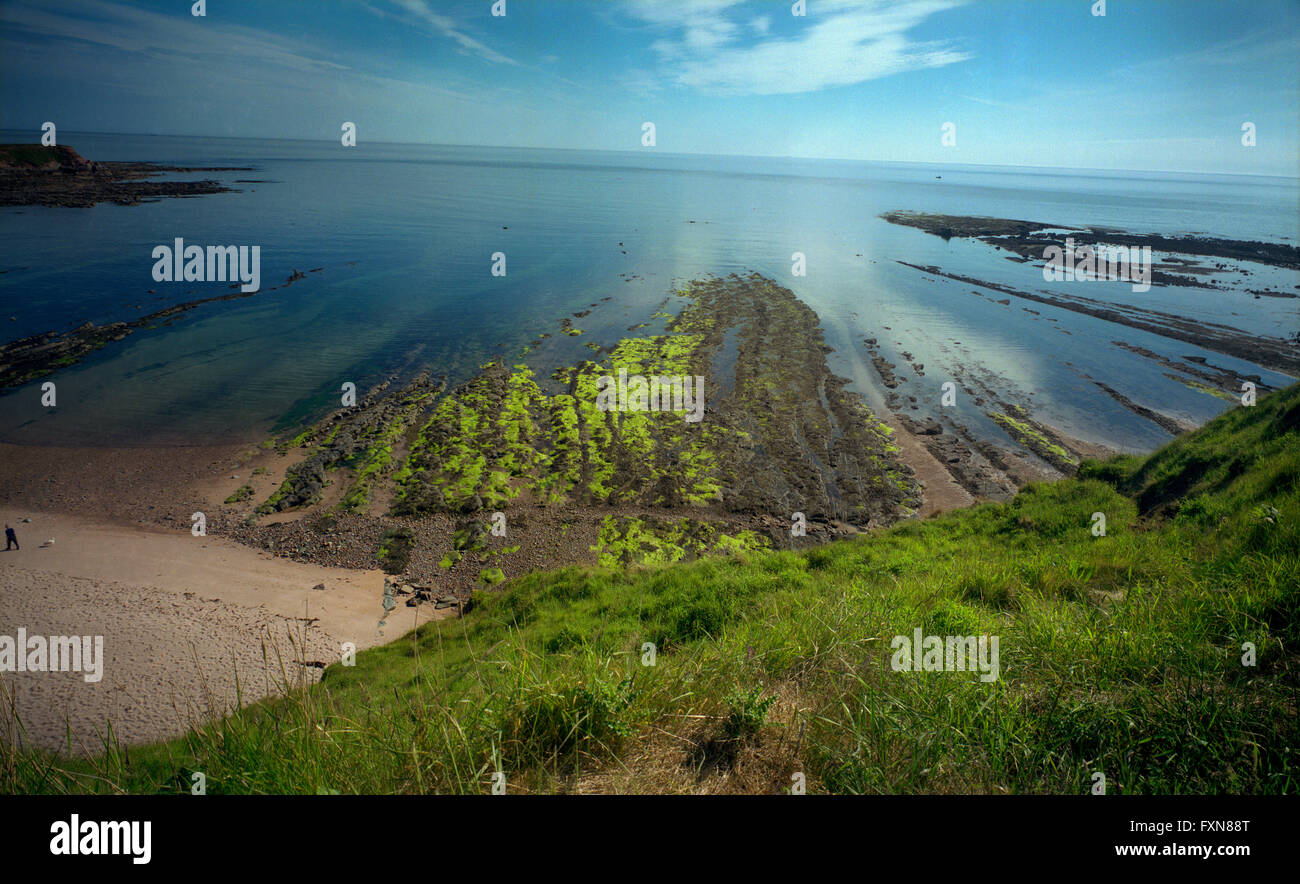 The coastline of Berwick-upon-Tweed, Northumberland, showing rocks 300 ...