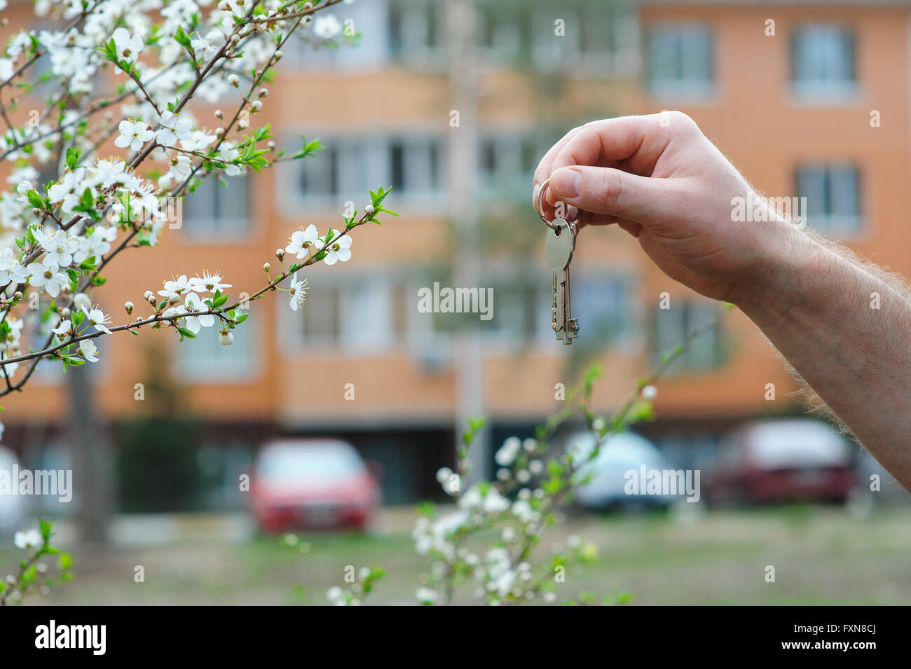 Dream house hi-res stock photography and images - Alamy