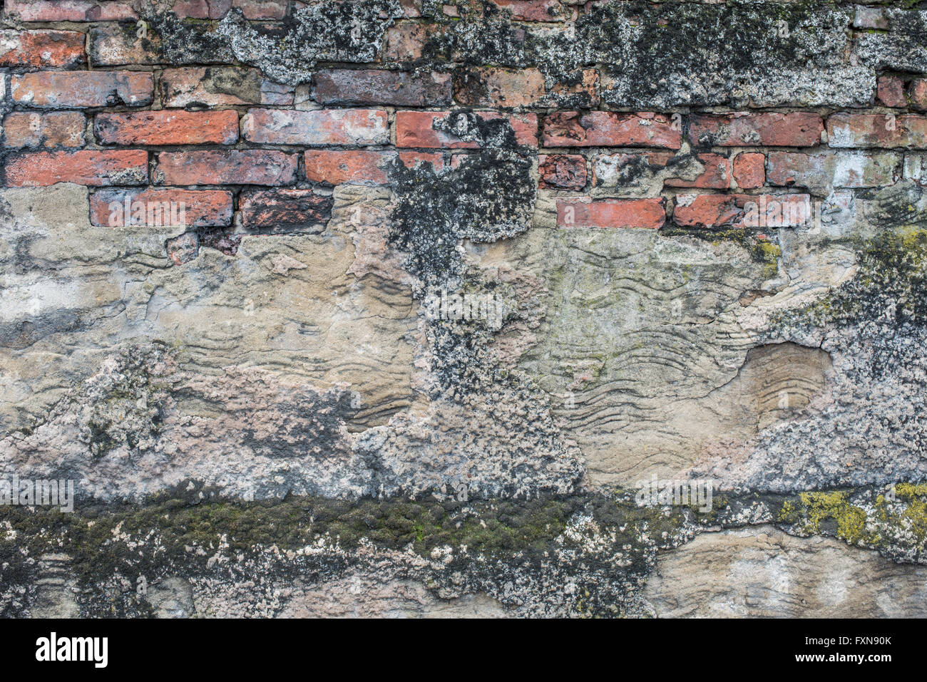 Distressed wall with moss and crumbling render Stock Photo - Alamy