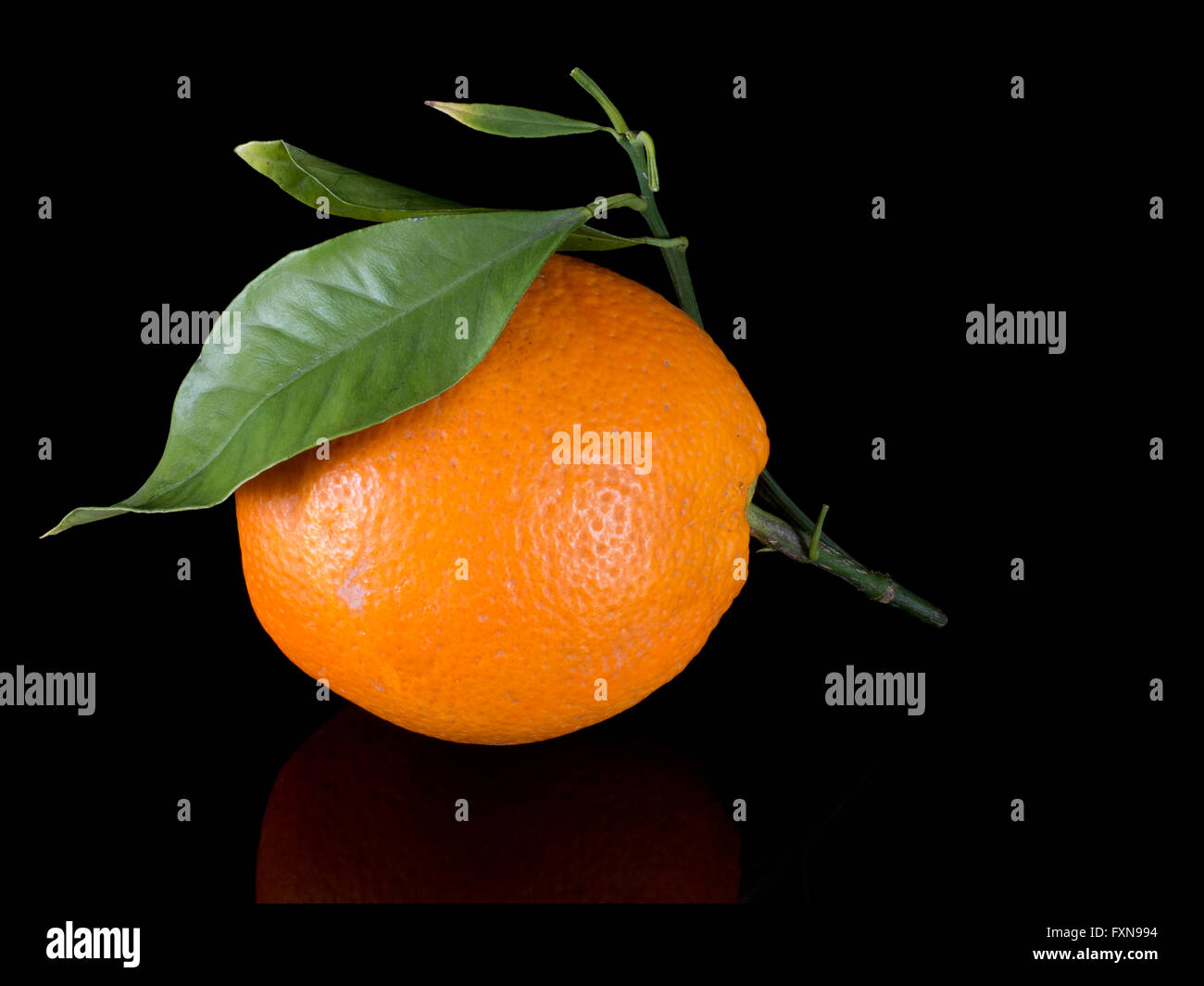 Un waxed hi-res stock photography and images - Alamy