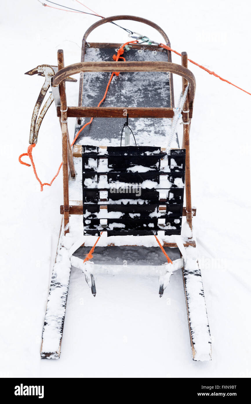 A Sammi dog sled seen from the rear Stock Photo - Alamy
