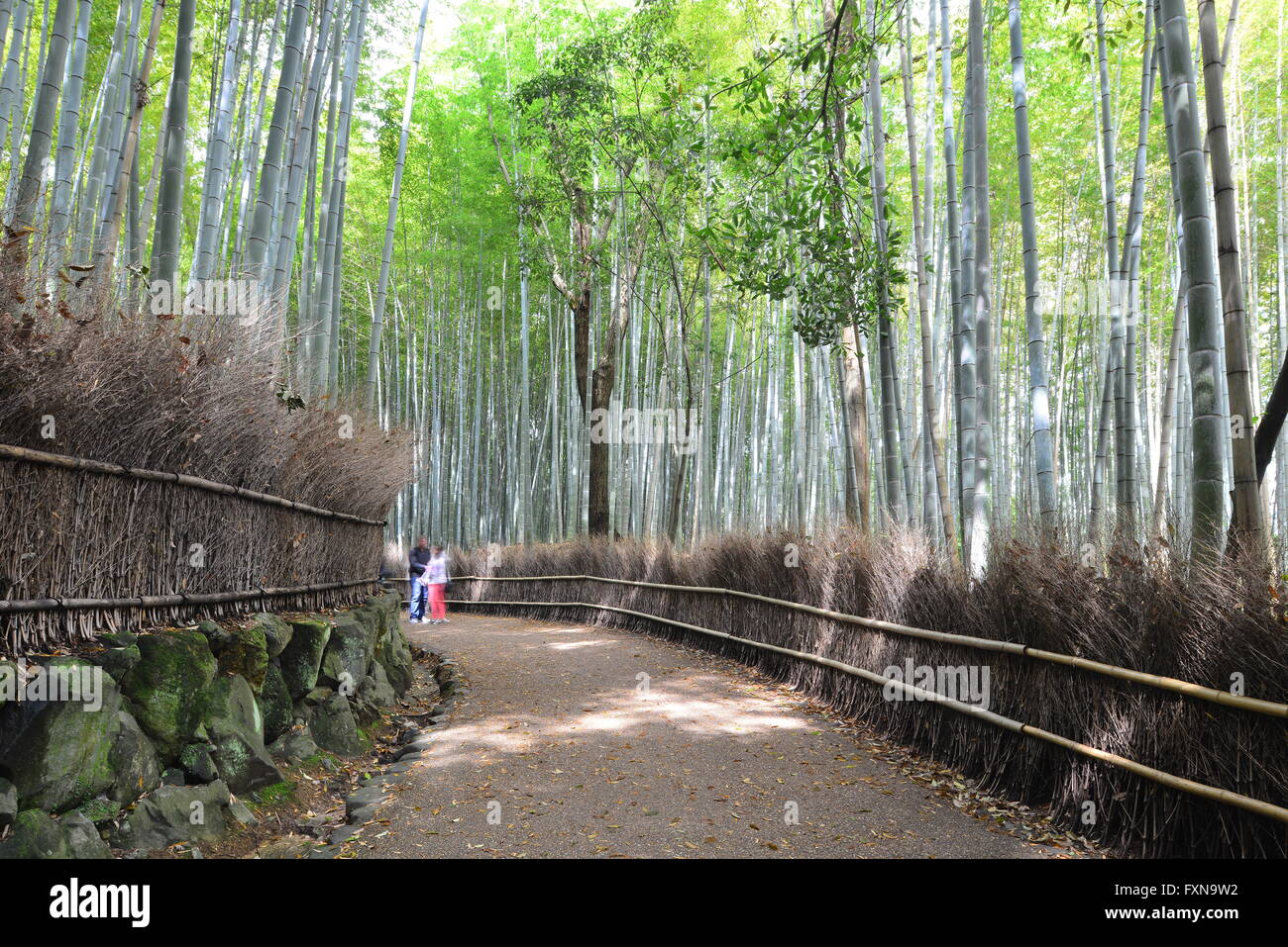 Arashiyama Bamboo Grove, Kyoto, Japan Stock Photo - Alamy