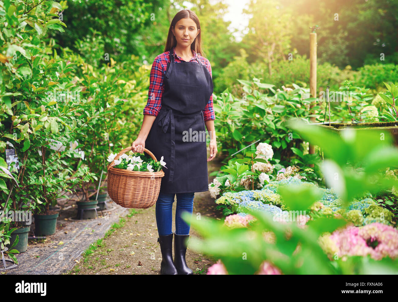 Planting stock flowers hi-res stock photography and images - Alamy