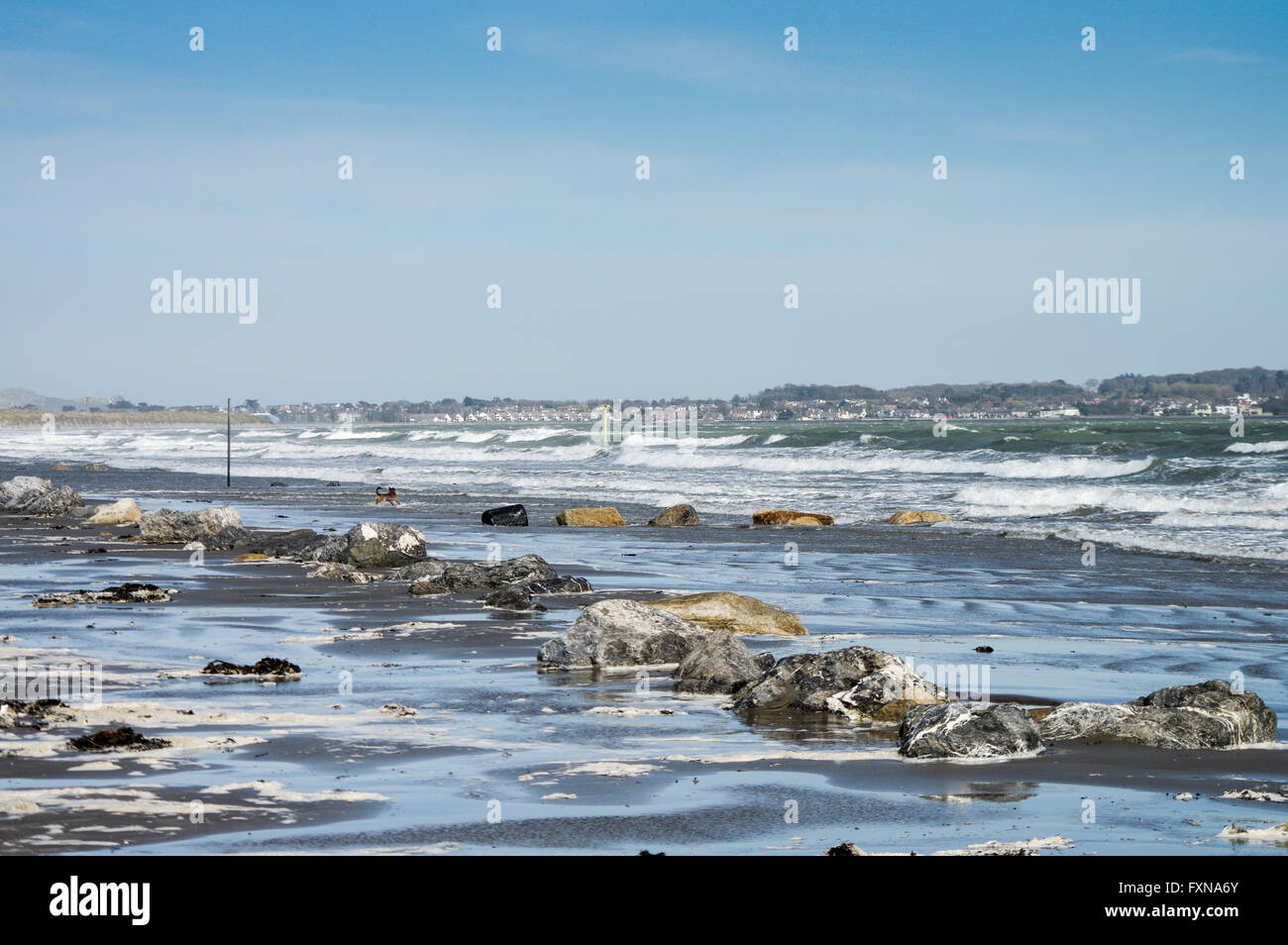Bull island dublin nature hi-res stock photography and images - Alamy