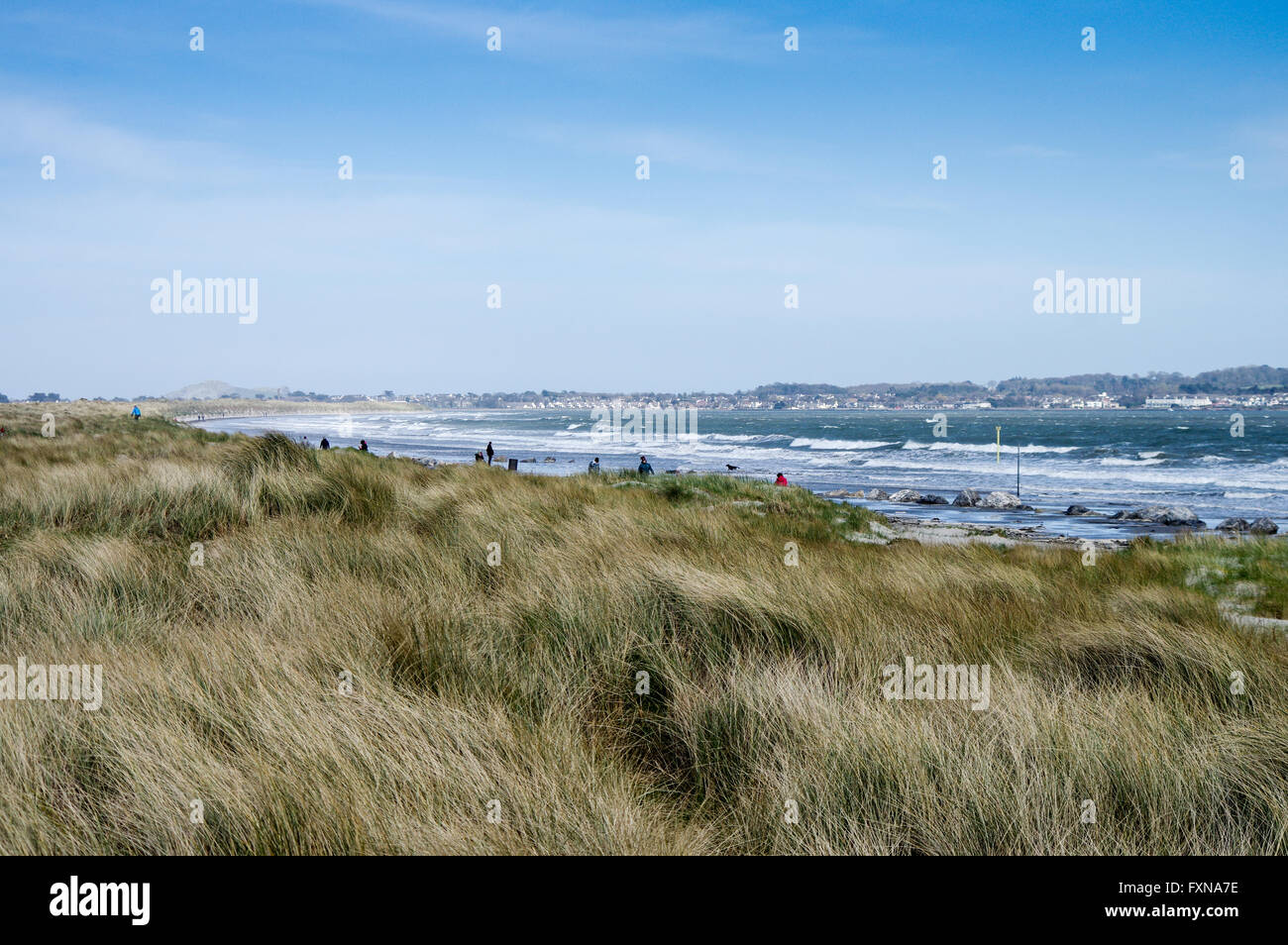 Bull island dublin nature hi-res stock photography and images - Alamy