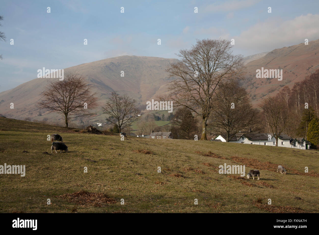Allen bank grasmere hi-res stock photography and images - Alamy