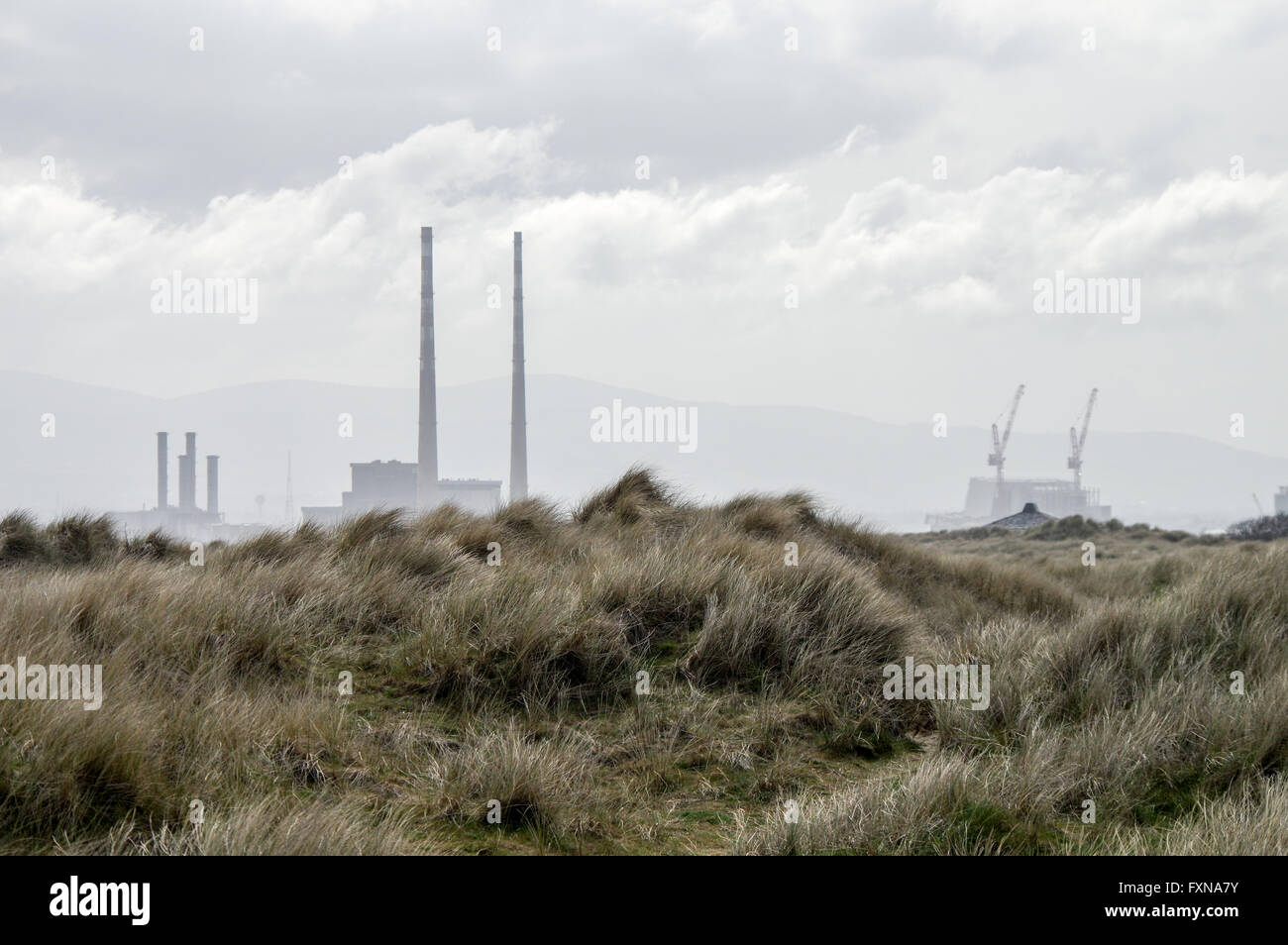 View of Dublin harbor and Poolbeg Generating Station from Bull Island ...