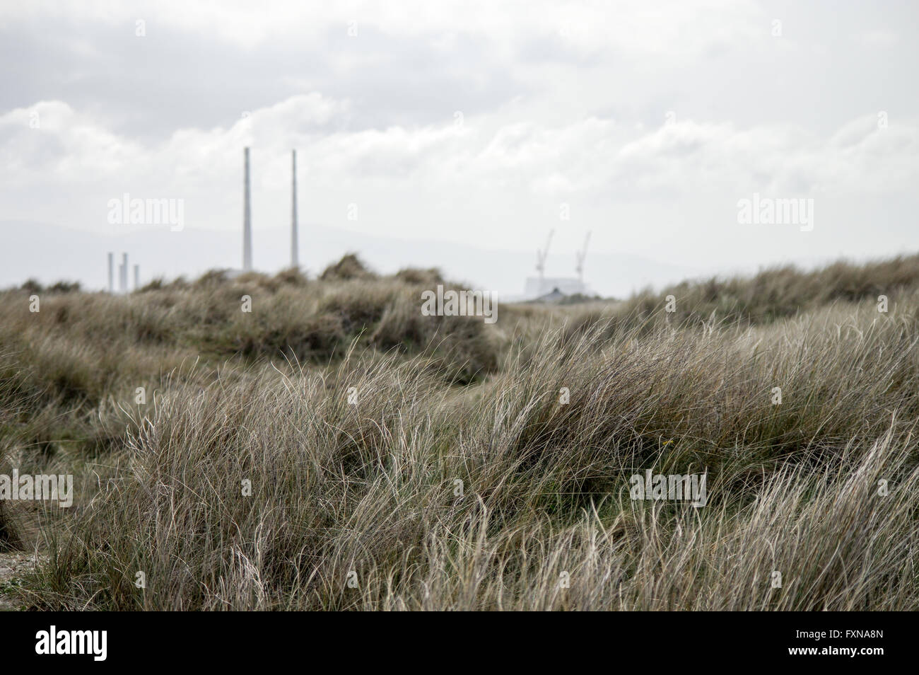 View of Dublin harbor and Poolbeg Generating station from Bull Island ...