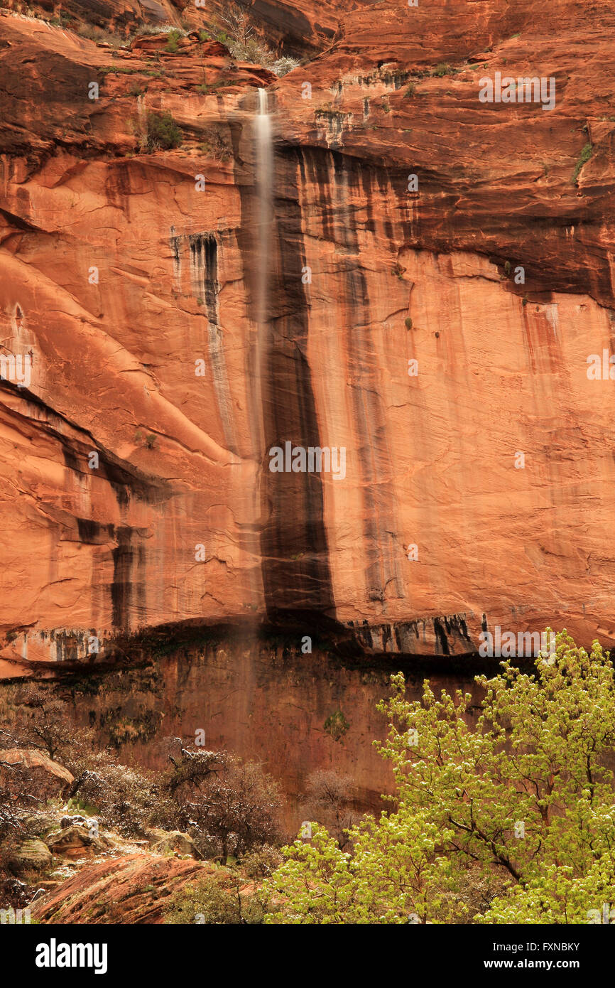 The Weeping Window in Zion National Park, Utah Stock Photo - Alamy
