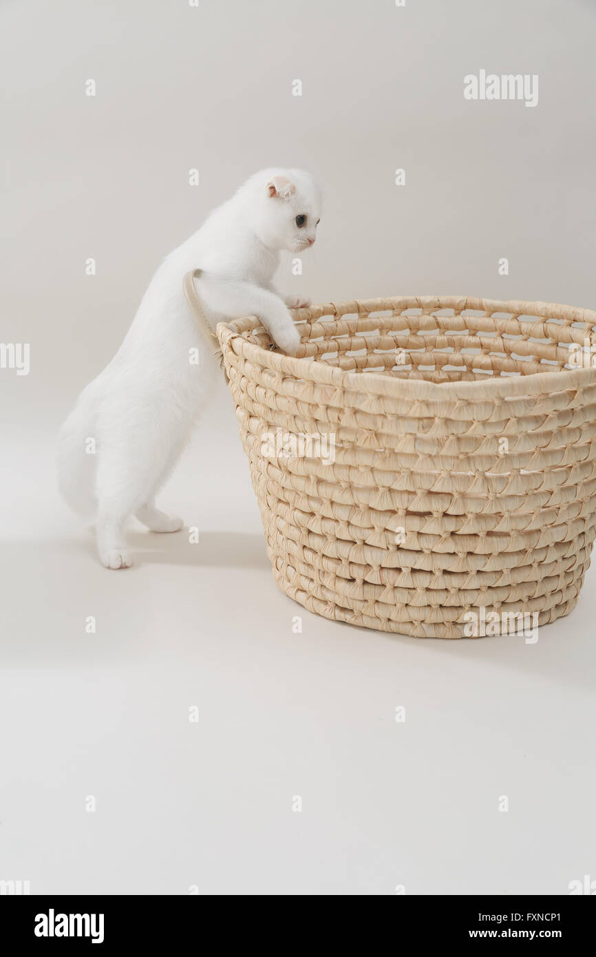 Fold legs hi-res stock photography and images - Alamy