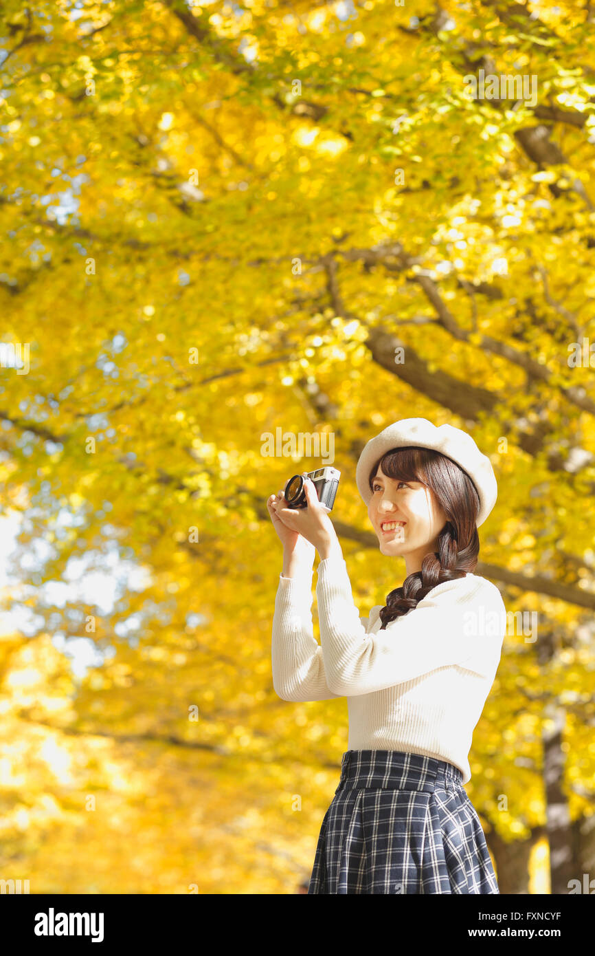Vintage japanese maple leaf hi-res stock photography and images - Alamy