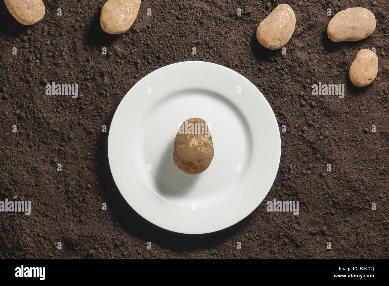 Soil potato hi-res stock photography and images - Alamy