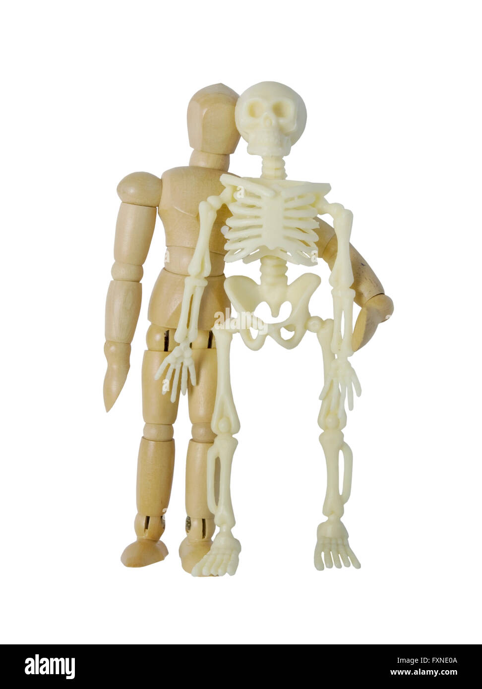 Person standing next to a skeleton - path included Stock Photo - Alamy