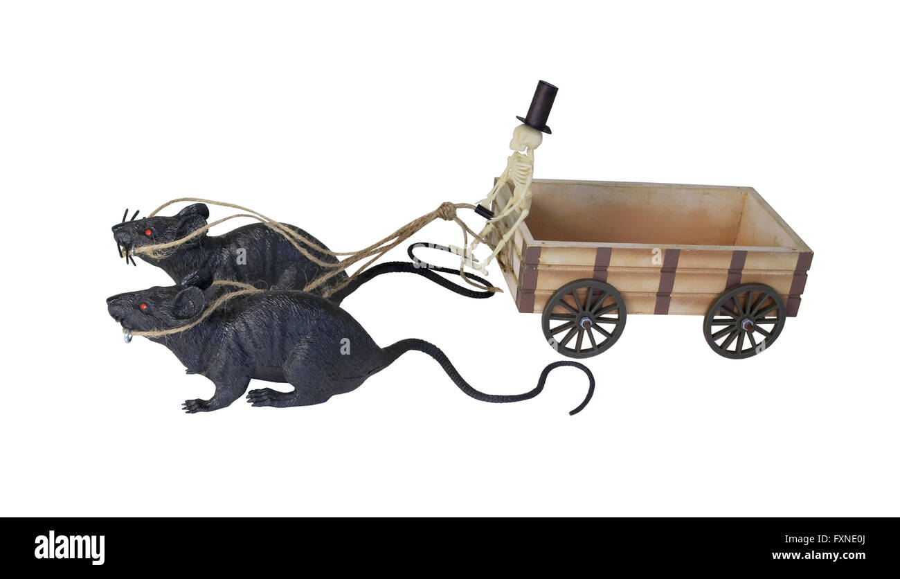 Rats Cut Out Stock Images & Pictures - Alamy