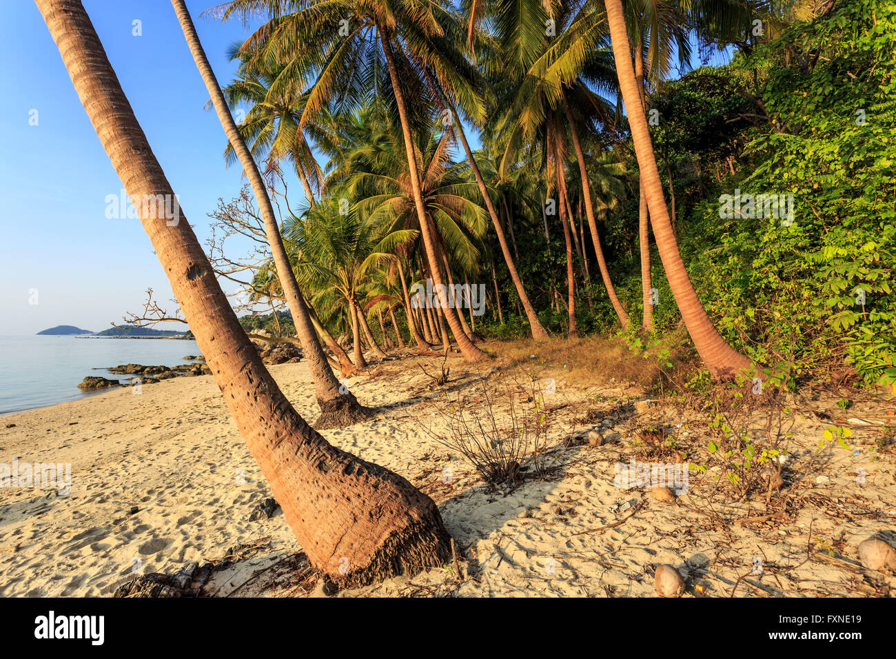 Gorgeous Taling Ngam Beach at evening, in Samui, Thailand Stock Photo ...