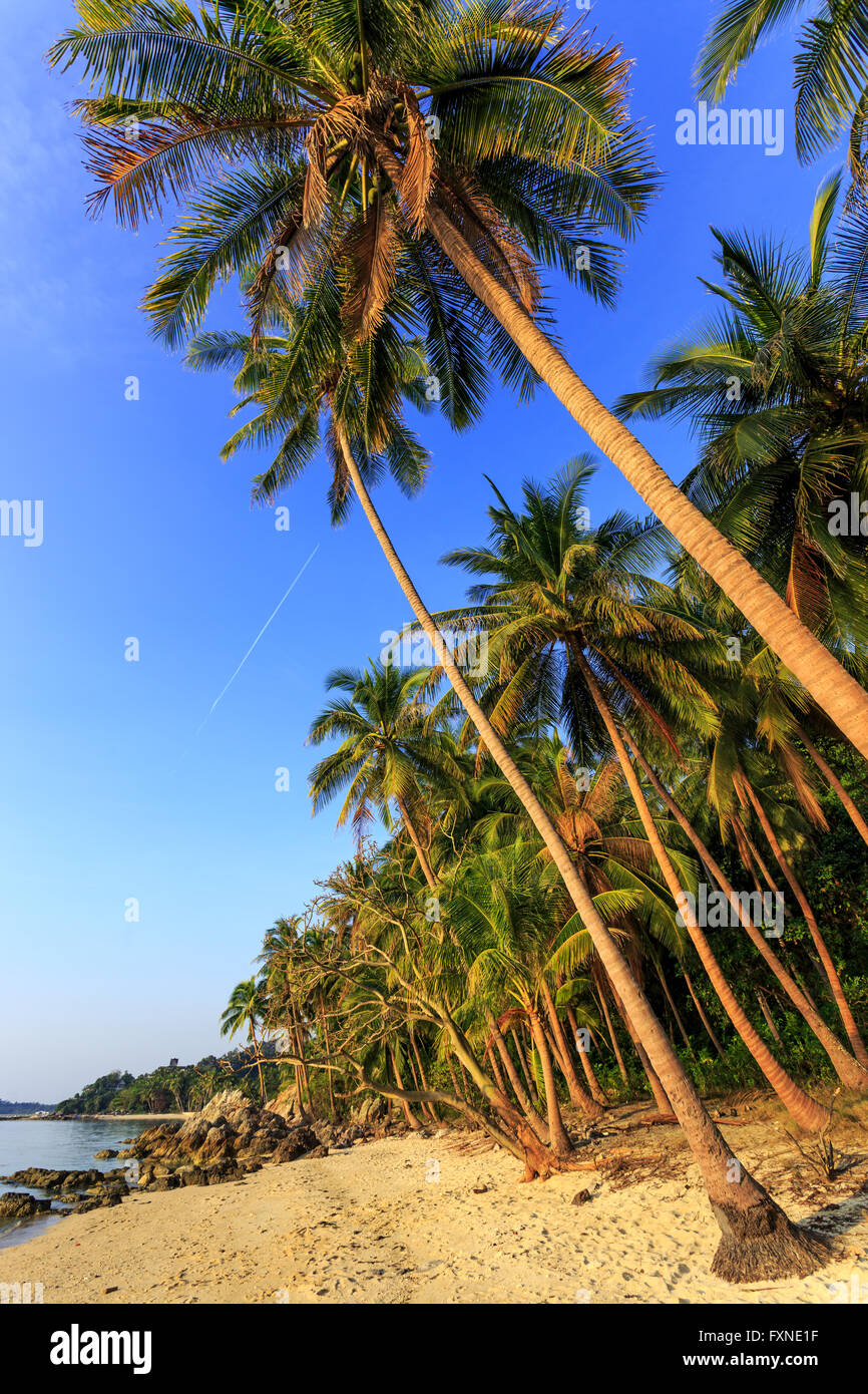 Gorgeous Taling Ngam Beach at evening, in Samui, Thailand Stock Photo ...