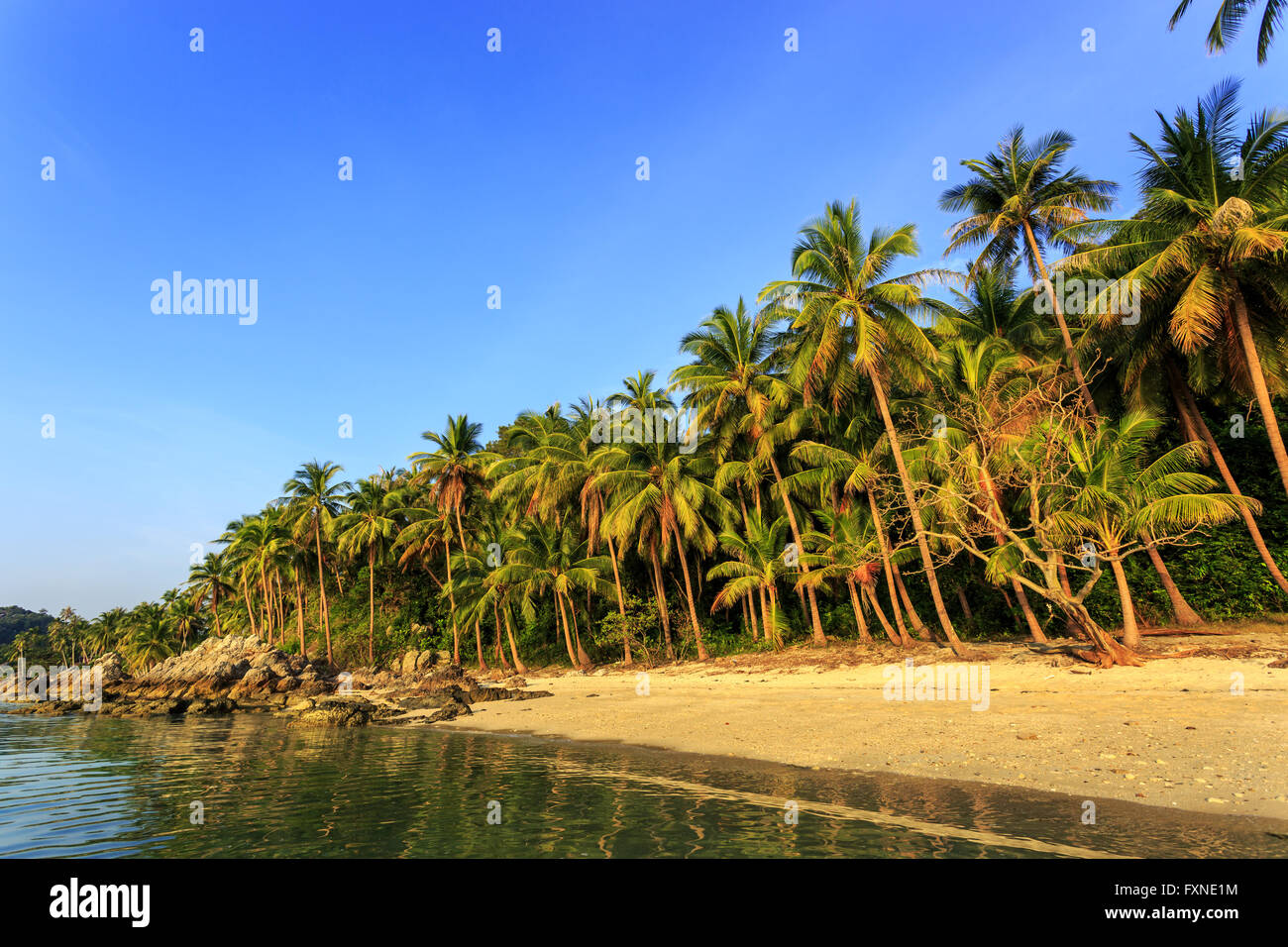 Gorgeous Taling Ngam Beach at evening, in Samui, Thailand Stock Photo ...