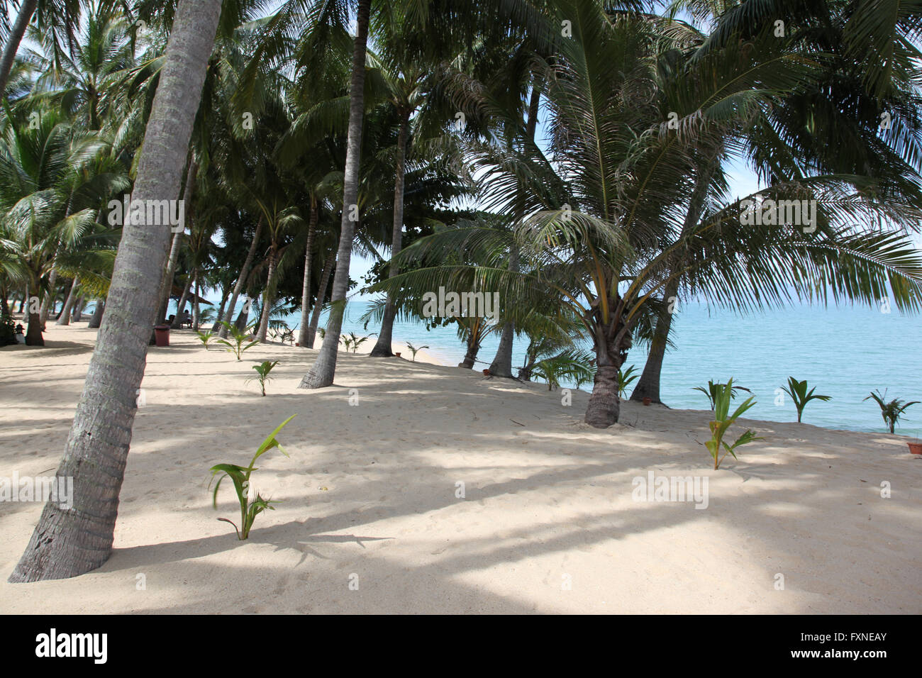 Koh samui thailand maenam beach hi-res stock photography and images - Alamy