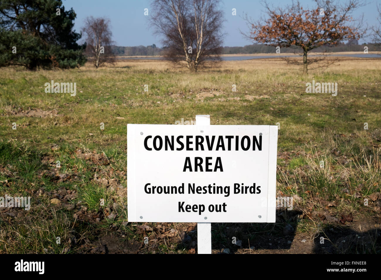 Ground Nesting Birds High Resolution Stock Photography and Images - Alamy