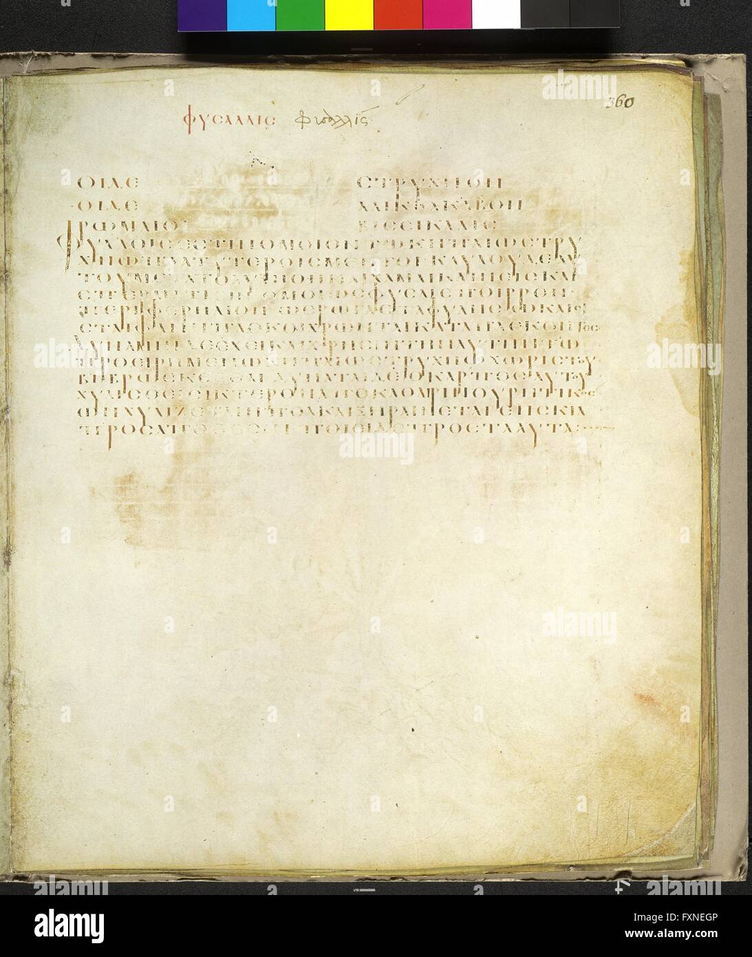 Judenkirsche Stock Photos & Judenkirsche Stock Images - Alamy