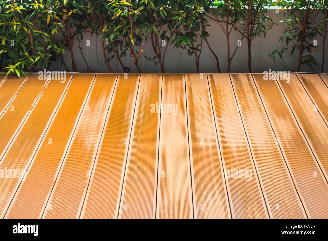 Slat floor in garden and ornamental trees Stock Photo - Alamy