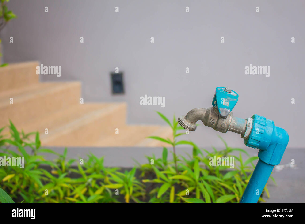 Water globe garden hi-res stock photography and images - Alamy