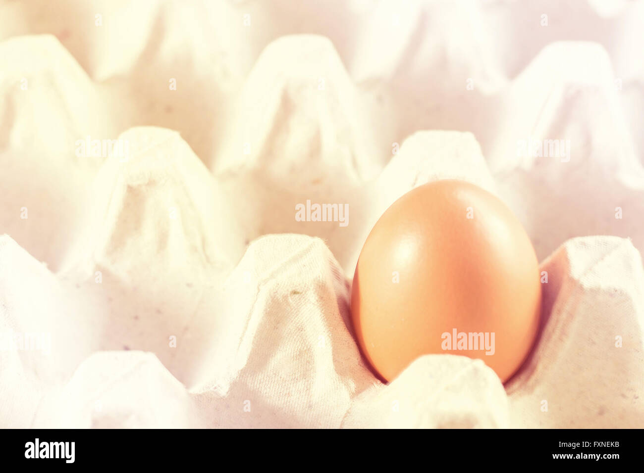 single egg lay on a tray Stock Photo - Alamy