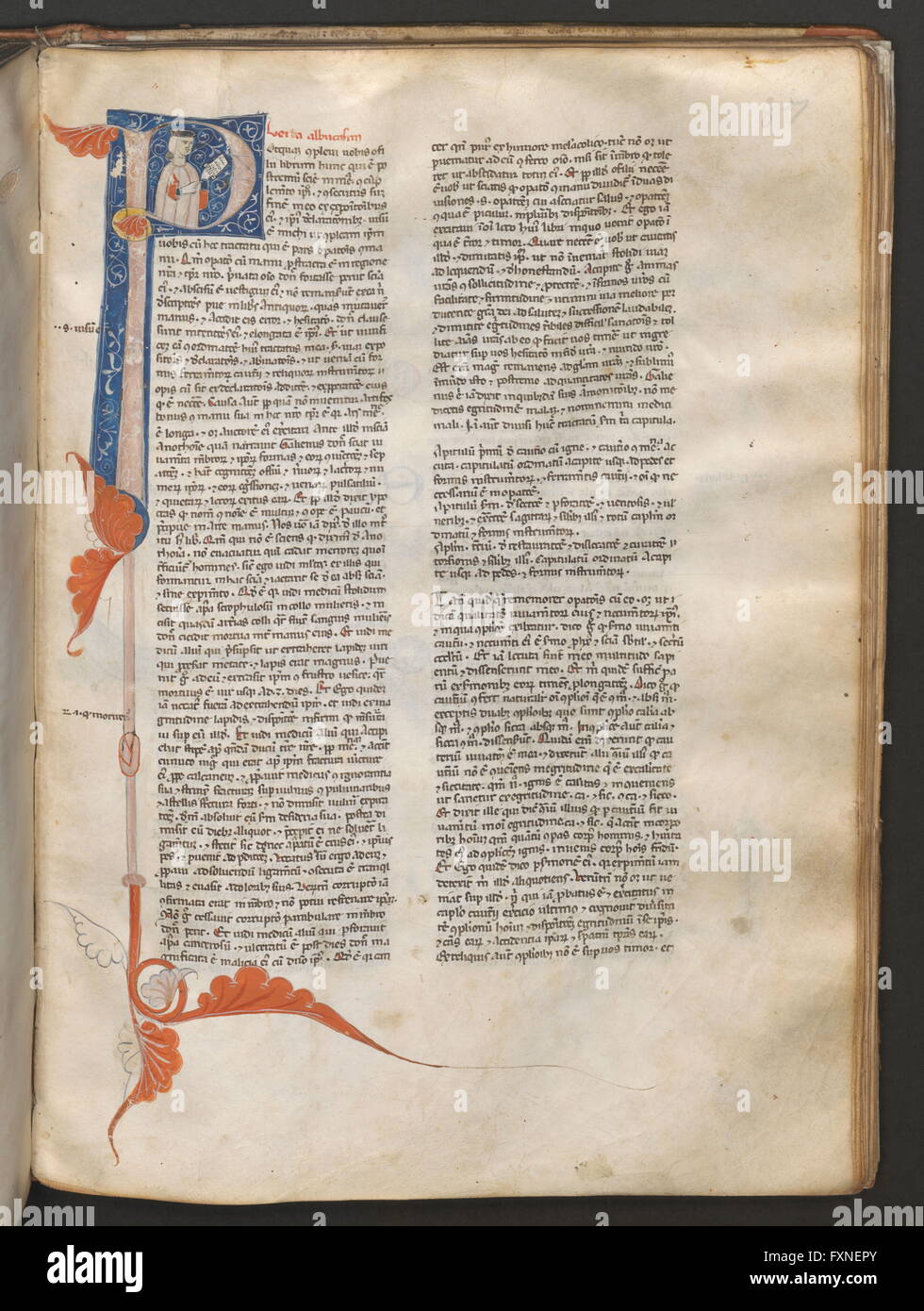 2301 High Resolution Stock Photography and Images - Alamy