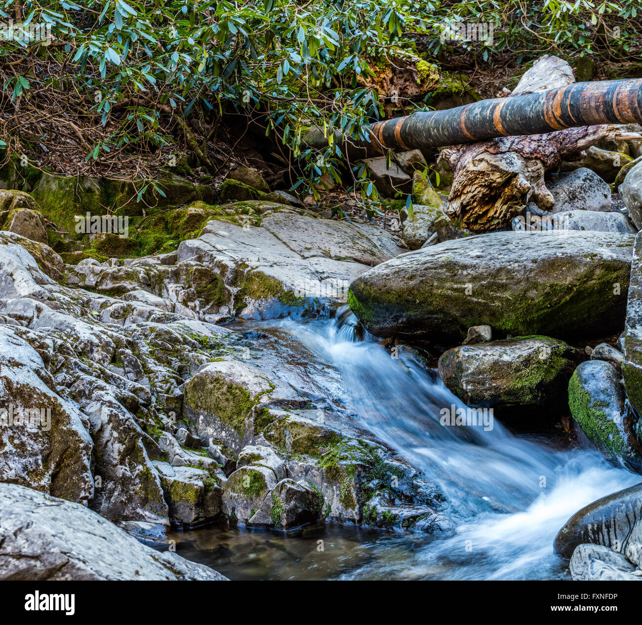Grotto falls hi-res stock photography and images - Alamy