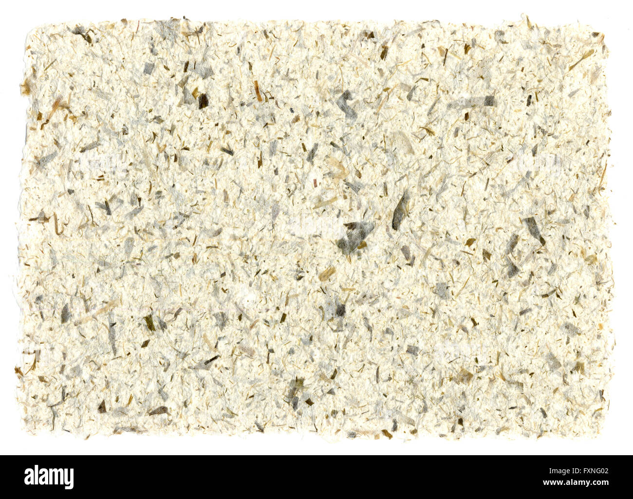 Sheet of handmade paper with plant fiber Stock Photo - Alamy